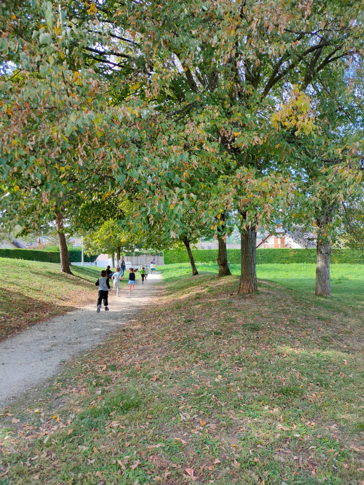 Courseton 2023 | Ecole René Cassin